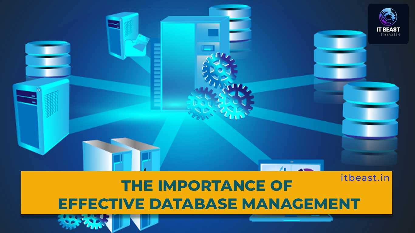The Importance of Effective Database Management - IT Beast ... The Importance of Effective Database Management - IT Beast ...